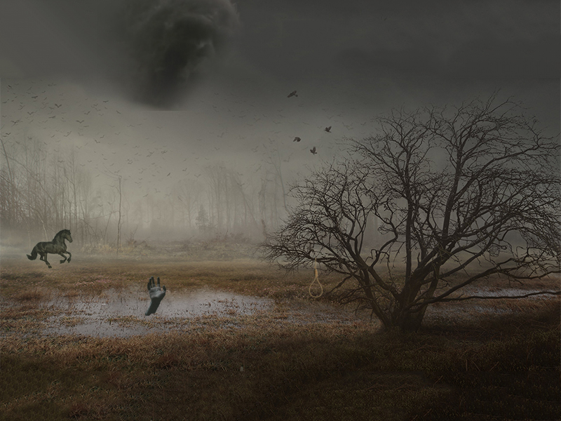 Automne 2022 – L’image composite (le rêve) – Photographie